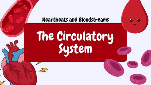 Circulatory System Unit – PowerPoint, MP4 Video, and Print-Ready PDF