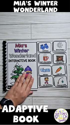 Winter Adaptive Interactive Book | Who, What, Where, When Questions