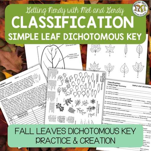Classification & Taxonomy - Fall Halloween Simple Leaf Dichotomous Key ...