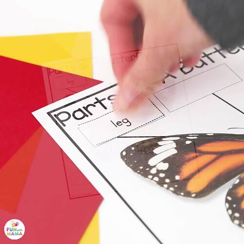 Life Cycle Of A Butterfly Craft, Cut + Paste Worksheets, All About ...
