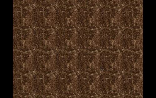 Biology Lecture Video/Evolution/Flipped Classroom/Edpuzzle Ready