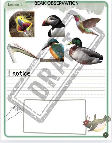 EL Education: Grade 1: Module 3: Unit 2: Bird Research Notebook II