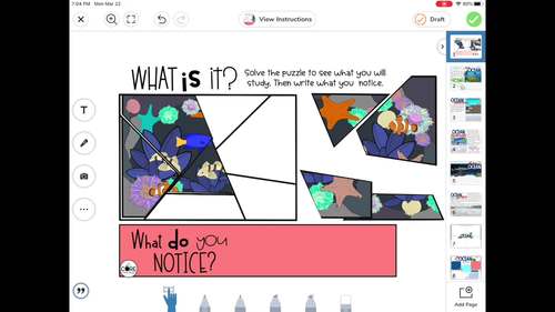 Ocean Habitat Digital Activities - 5 Oceans - Ocean Animals Lesson Plans