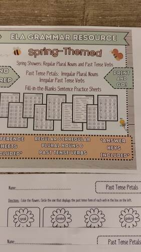 ELA-Regular-Irregular-Plural Nouns-Past-Tense Verbs-SPRING-THEMED ...