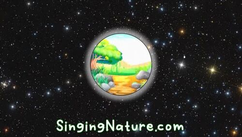 The Frog SONG worksheets (E.S.L Resource) by Singing Nature | TPT