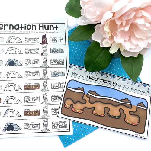 Hibernation Science Activity for Winter by Turner Tots | TpT