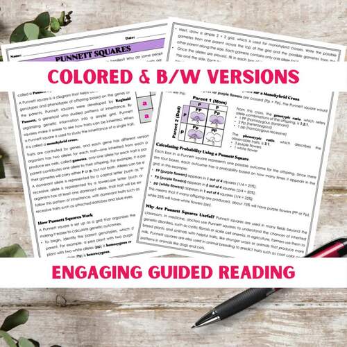 Punnett Squares Practice Reading Comprehension Passage and Questions ...