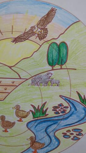 Organisms & Environments - Draw and Label Middle School Ecology ...