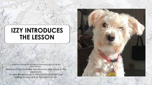 READY TO USE Book-based Diversity Tolerance Self-Esteem SEL Lesson 4 ...