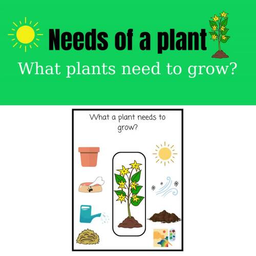 Needs of a Plant to Grow, Needs of a plant Printable Activities | TPT