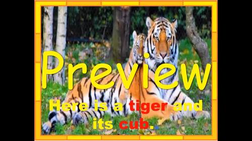 Wild animals and their babies– Slides and worksheets activities-POWERPOINT