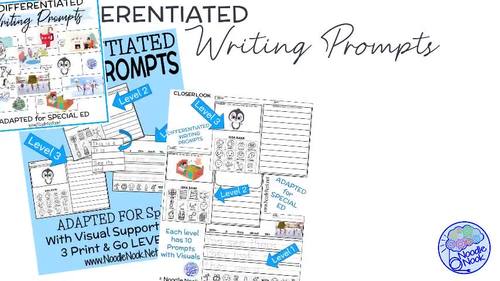Winter Themed Differentiated Writing (Adapted for Special Ed) Journal ...