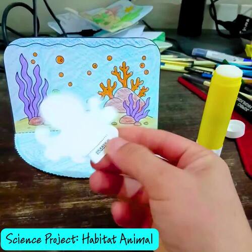 Sea Habitat Animal Craft Diorama | Ocean Habitat Science Project ...