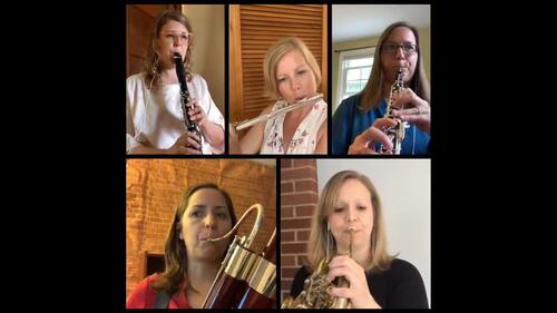 "Ferdinand the Bull" and "Meet the Instruments" Two Video Bundle