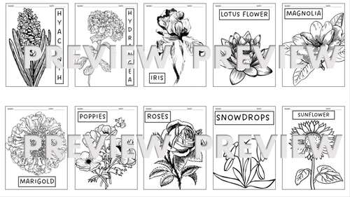 flower identification coloring pages
