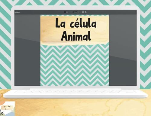 La célula animal: Hoja de trabajo interactivo para colorear | TPT