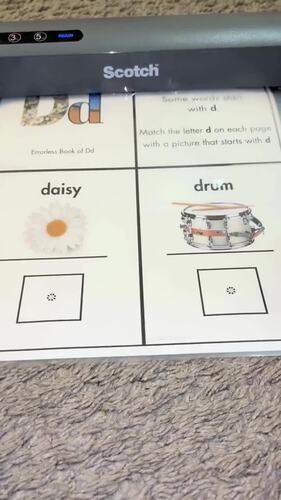 Alphabet Letter Adapted Letter Books for Special Education Homeschool