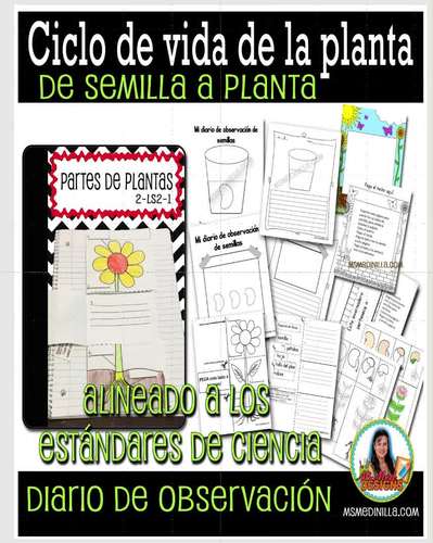 Spanish Plant Life Cycle Journal, Diario De Plants y Semillas en Español