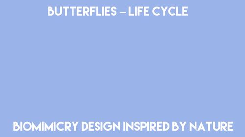 Butterfly Life Cycle Activities | Biomimicry Design Project | Nonfiction