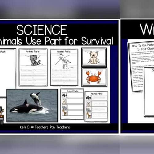 Animal Adaptations and the Need to Survive Worksheets by Kelli C