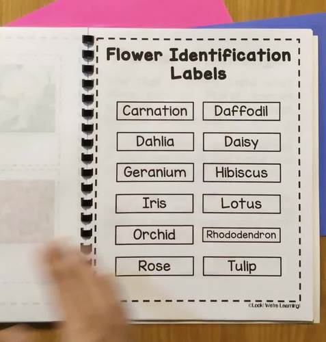 Flower Theme Unit for Early Grades: All About Flowers! by Look We're ...
