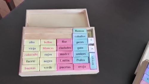 FSL French Lingo Blocks by Professional Growth and Career Development