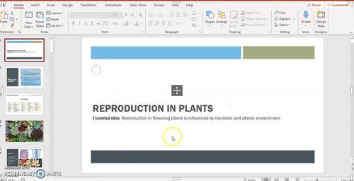 IB Biology AHL Topic 9.4 Reproduction in Plants PPT, Guided Notes ...