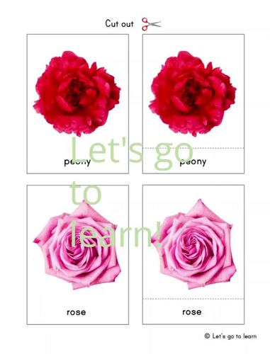 Flower 3-Part Cards, Montessori Nomenclature Cards, Botany, Science ...
