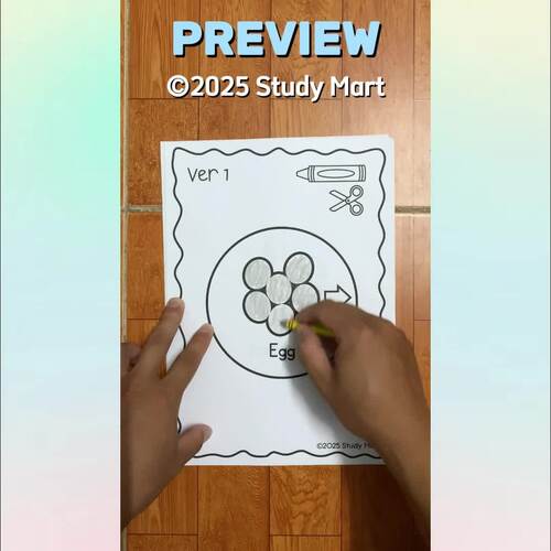 3D Sea Turtle Life Cycle Craft Printable – Cut and Paste Science Activity