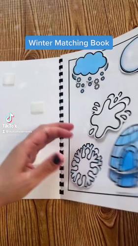Winter Picture Matching- Winter- Autism & SPED Resources by Autism Elements