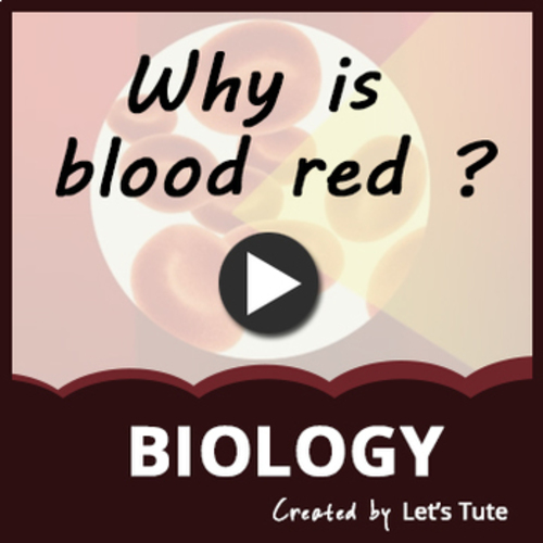 Why is Blood Red? - Biology (Science) by Letstute | TPT