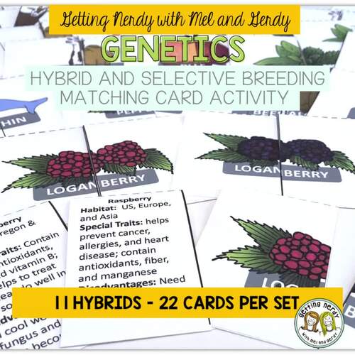 Hybrid Genetics Card Match-Up Activity by Getting Nerdy with Mel and Gerdy