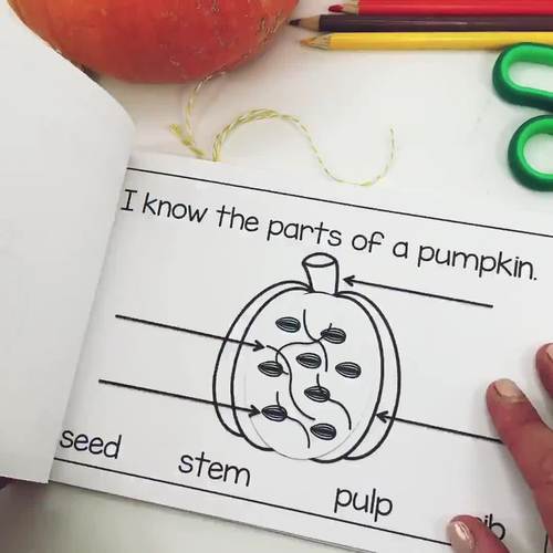 Pumpkin Investigation: Science, Math, Life Cycle Mini-Book | TPT