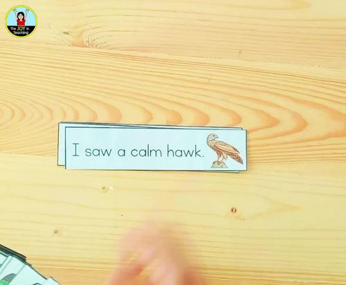 Diphthong Sentence Flashcards by The Joy in Teaching | TPT