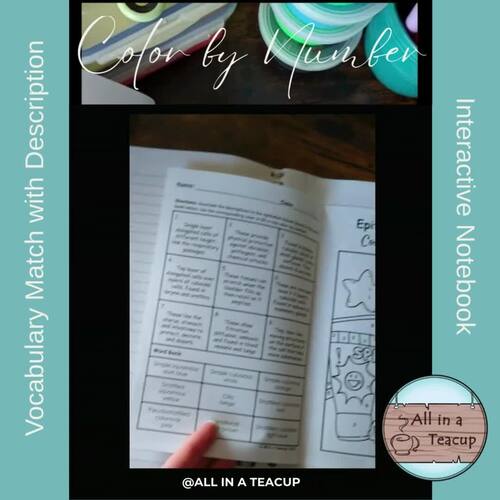 Histology Epithelial Tissue Vocabulary Foldable Match & Color by Number ...