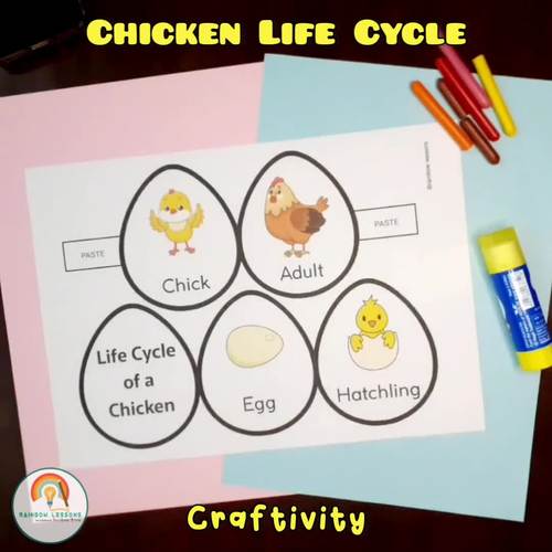 Chicken Life Cycle Craft | Life Cycle of a Chicken | Life Cycle of ...