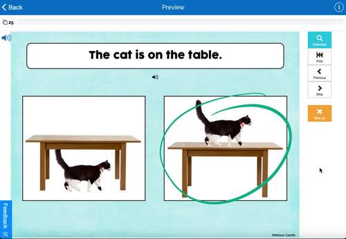 Boom Cards™ Spatial Concepts "On" (real photos) by Kids Learning Activities