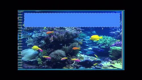 Digital Science Notebook TITLE COVER PAGES Themed- Common Middle School ...