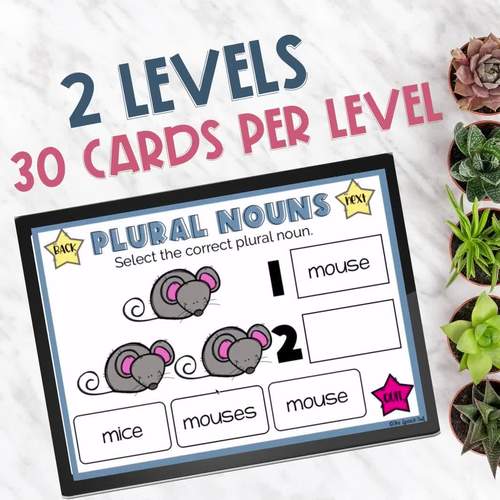 Regular and Irregular Plural Nouns Boom Cards ™ | distance learning