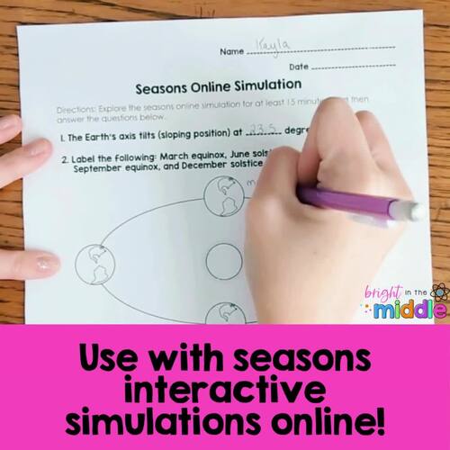 Seasons Activity - Online Simulation Worksheet | TPT