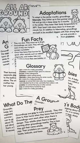 Groundhogs Nonfiction Unit and True or False Google Slides Activity Bundle