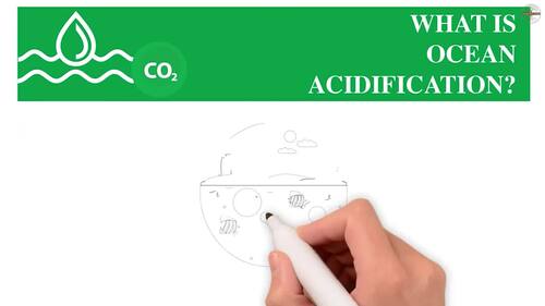 Ocean Acidification | Video Lesson, Handout, Worksheet | Environmental ...