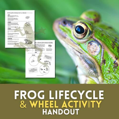 Frog Life Cycle Mini-Unit | Science Activity & Craft by KrakenSky