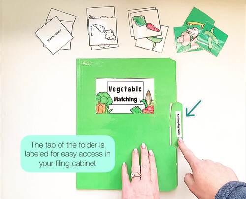 Matching - Vegetables (Velcro File Folder Practice Activity) | TPT
