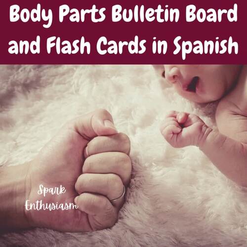 Body Parts Bulletin Board and Flash Cards in Spanish Printable - Cuerpo