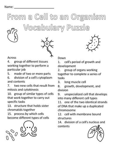 From a Cell to an Organism Vocabulary Crossword Puzzle by Secondary ...