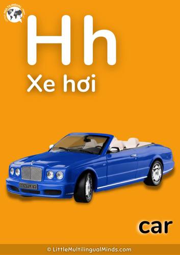Bilingual Vietnamese Alphabet Flashcards, Posters, Word Walls - Real Photos