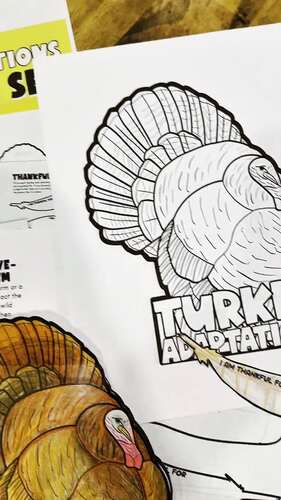 Thanksgiving Turkey Adaptations and Selection Cut, Color, Read, Research