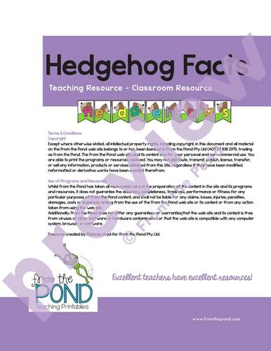 Hedgehog Facts Classroom Display Banner and Writing Activity by From ...