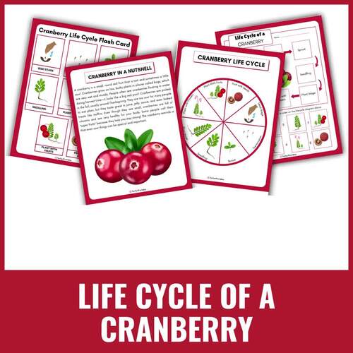 Life Cycle of a Cranberry Plant | Fruits Science Unit Study With Fun Facts!